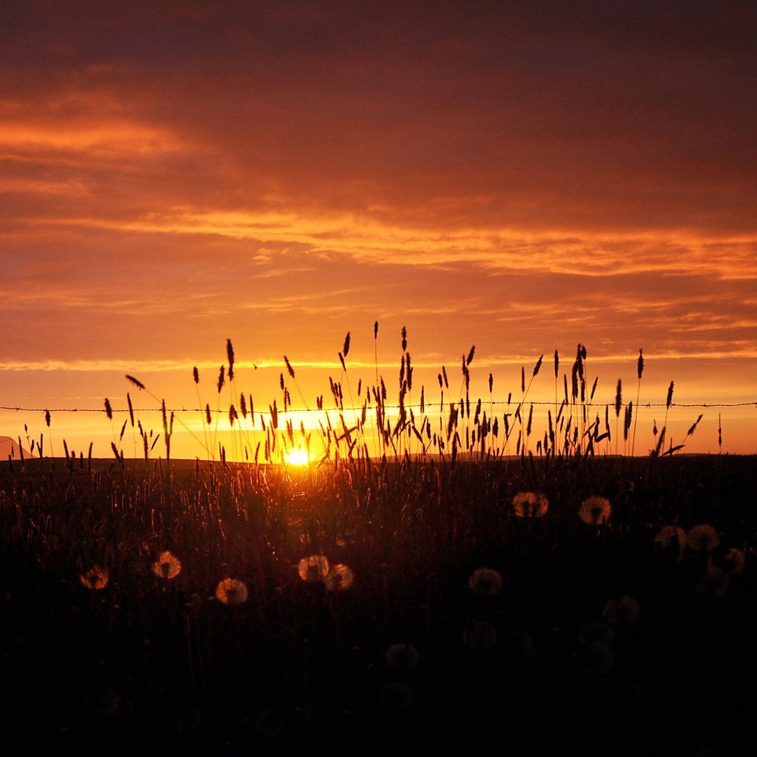 The Katie Murray Blog: On the Summer Solstice – Skin Elixir UK